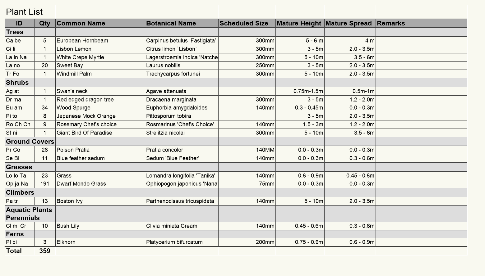 Planting Schedule Add More Rows Of Plants Based On Its Category Site 