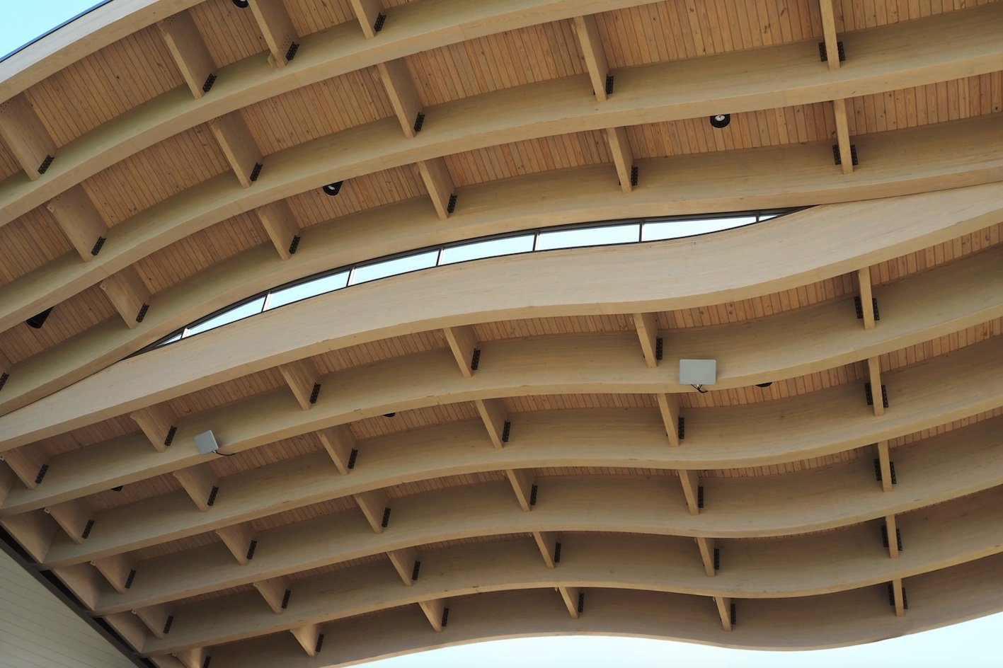 Creating curved ceiling beams - Architecture - Vectorworks Community Board